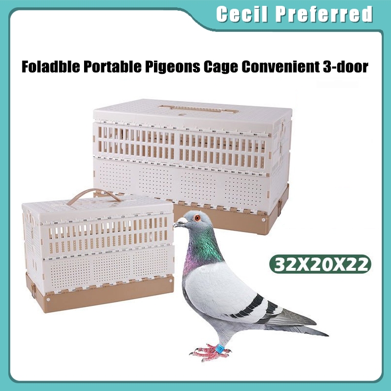 Foldable Pigeon Bird Cage Training Box S/M Cage Plastic LARGE Pigeon ...