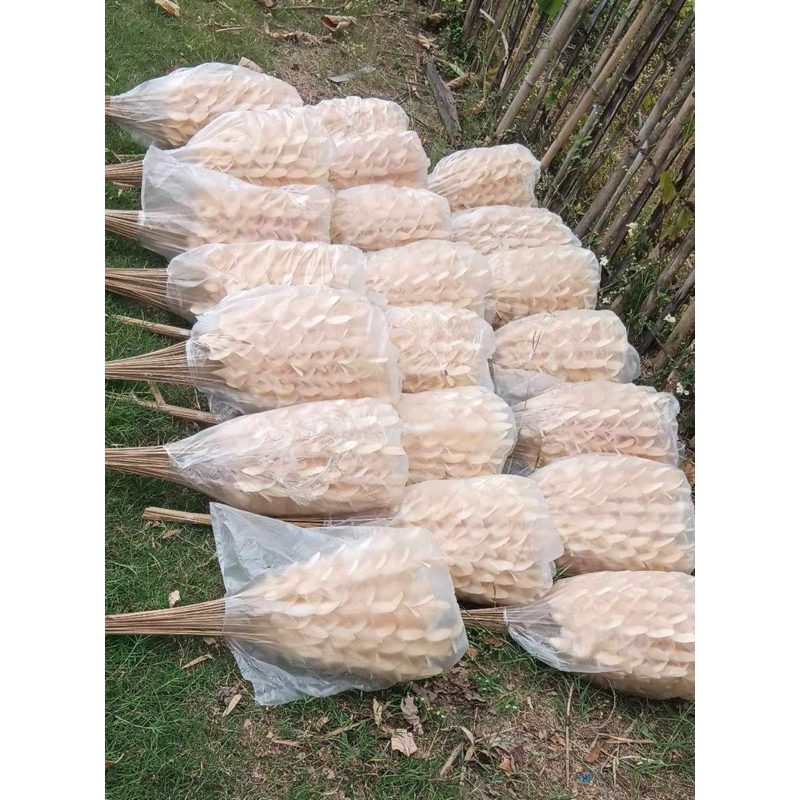 13 inch Long Kinayas Plain Color - 100pcs | Shopee Philippines