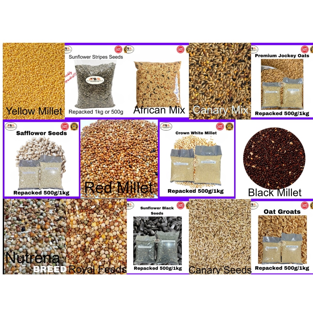 Bird Seed Food Feeds : African Canary Sunflower Safflower Red White ...