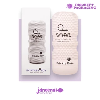 direct from japan - Best Prices and Online Promos - Dec 2024 | Shopee ...