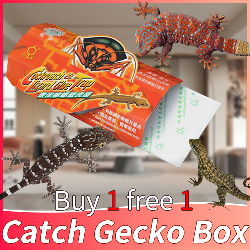 GSQ The magic box for catching geckos lizard trap Buy 1 get 1 free ...