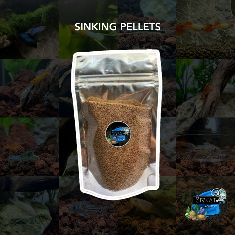 TATEH PO1 AND PO2 SINKING PELLETS | APPLE RAMSHORN TRUMPET ASSASSIN ...