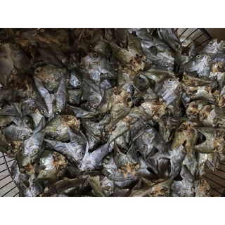 danggit - Best Prices and Online Promos - Jul 2025 | Shopee Philippines