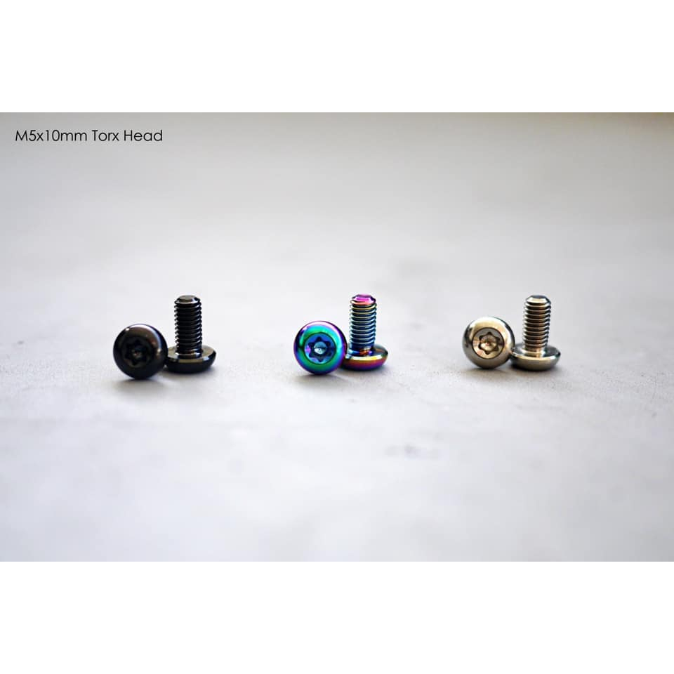 Titanium Bolts / Screws M5 x 10mm TORX Head Sold Per Piece (Bicycle ...