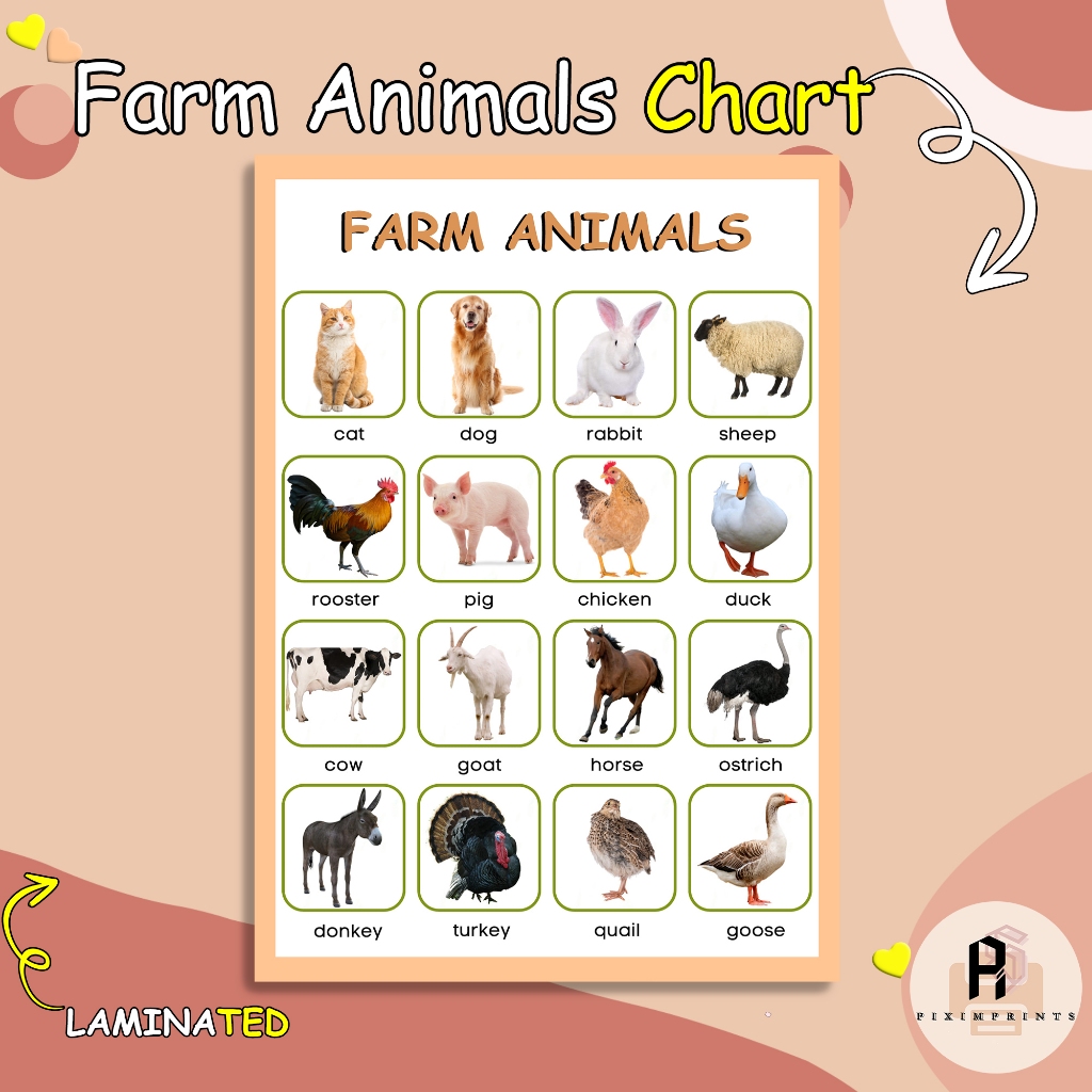 Farm Animals Chart Learning Materials for Kids (Laminated ...