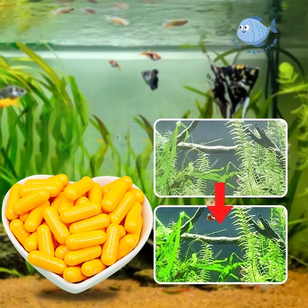 5pcs/20pcs Aquarium Nitrifying Bacteria Concentrated Capsule Fish Tank ...