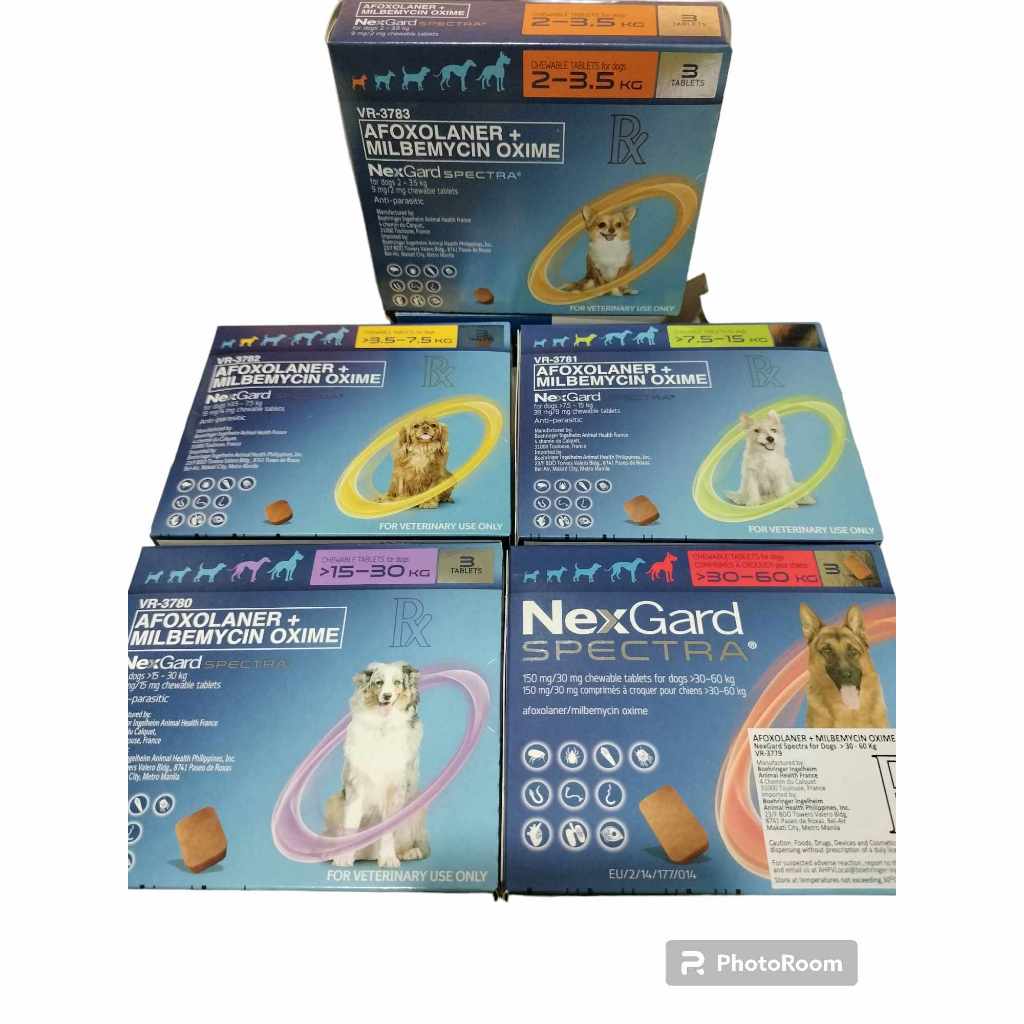 NEXGARD SPECTRA CHEWABLE TABLET FOR DOGS with STICKER | Shopee Philippines