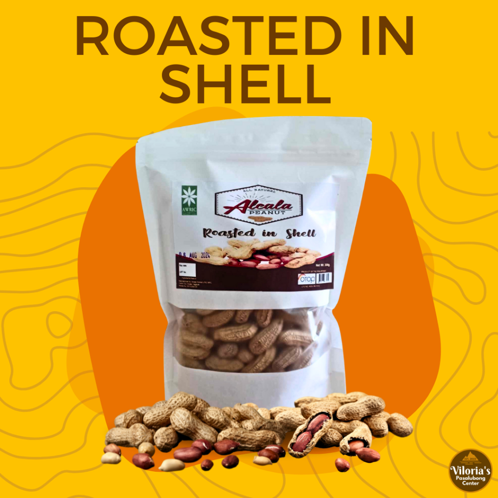 Roasted Peanut In Shell 300g | Shopee Philippines