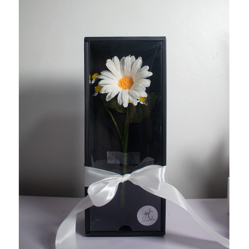 ALAYA PAPER BLOOMS Paper Daisy in Acetate Display Box Crepe Paper ...