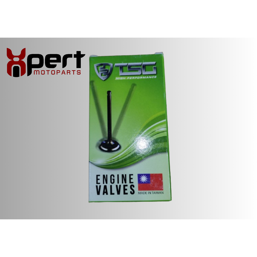TSG Engine Valve (Exhaust & Inlet) Set | Shopee Philippines