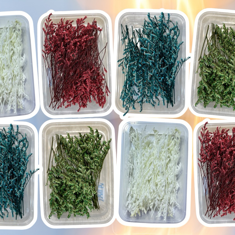 Dried Misty Preserved Flower in Tub for Invitation Wedding Birthday ...