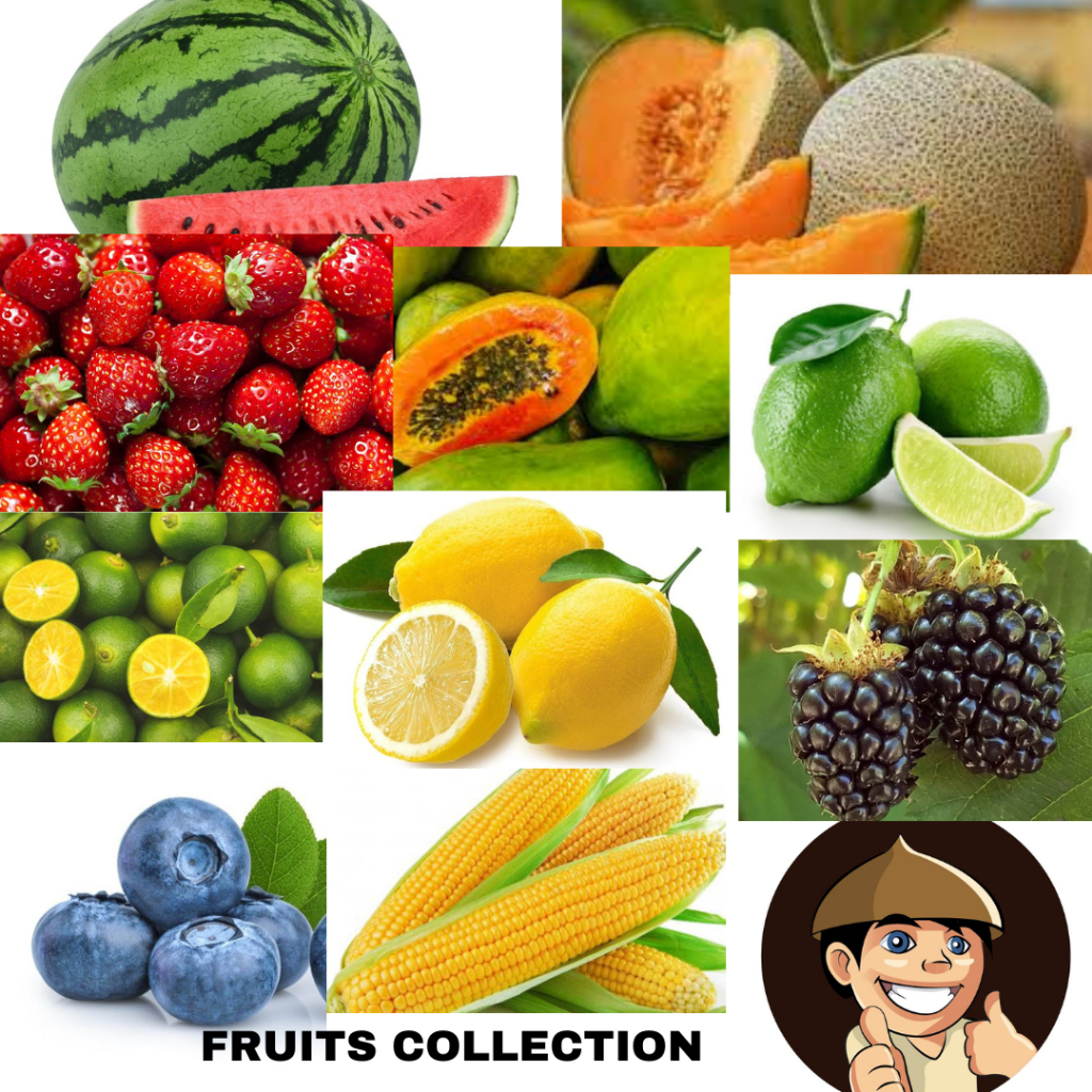 Fruits Seeds Collection watermelon strawberry blueberry blackberry red ...
