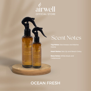 Airwell Room Car Linen Spray | Anti-Bacterial | Shopee Philippines