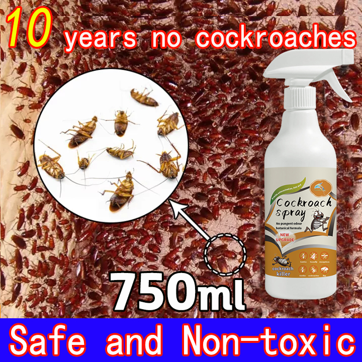 insecticide spray 750ml cockroach spray bed bug killer spray Dust Mite ...