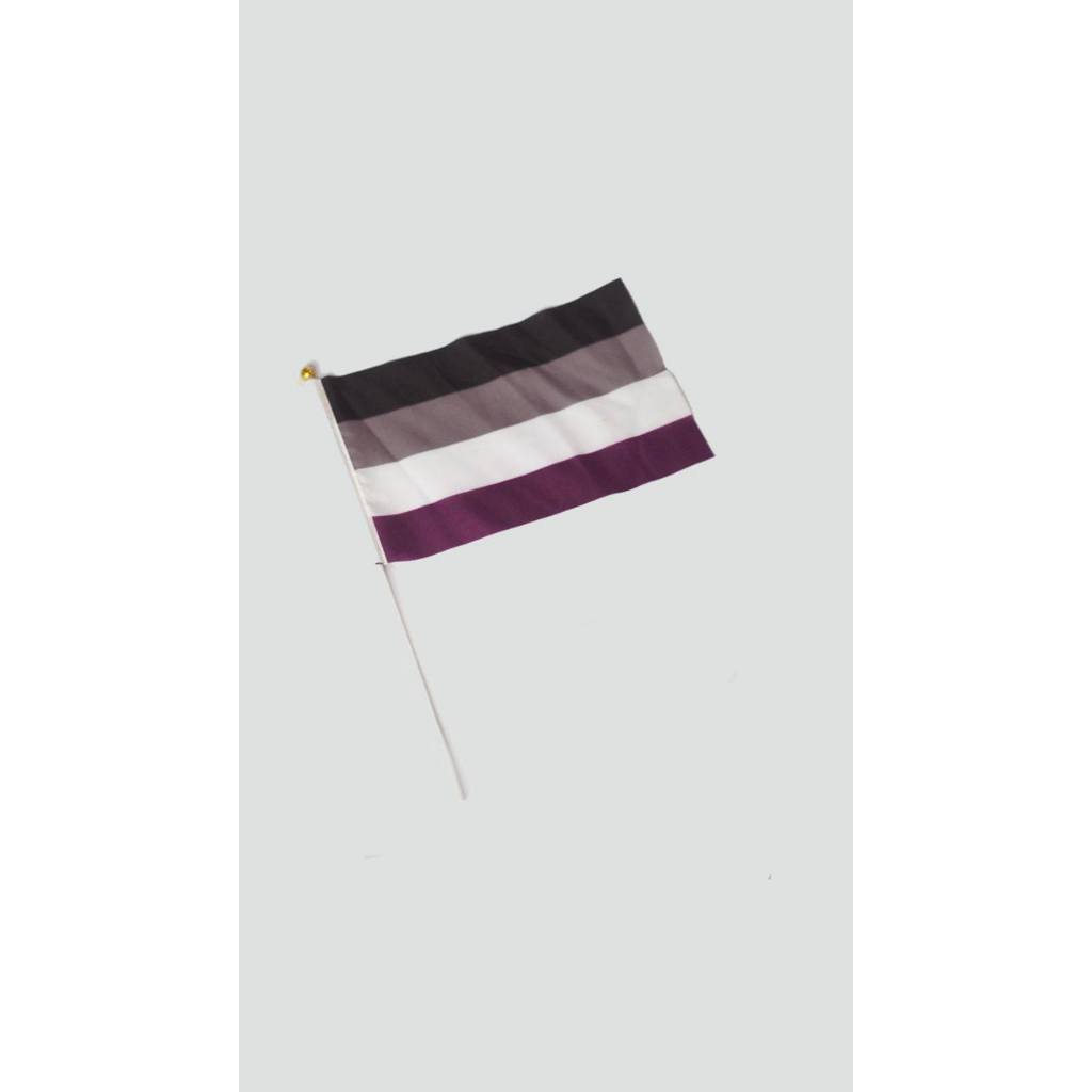 Small Asexual Flag | Ace Pride Flag LGBT Handheld Waving | LOCAL ...
