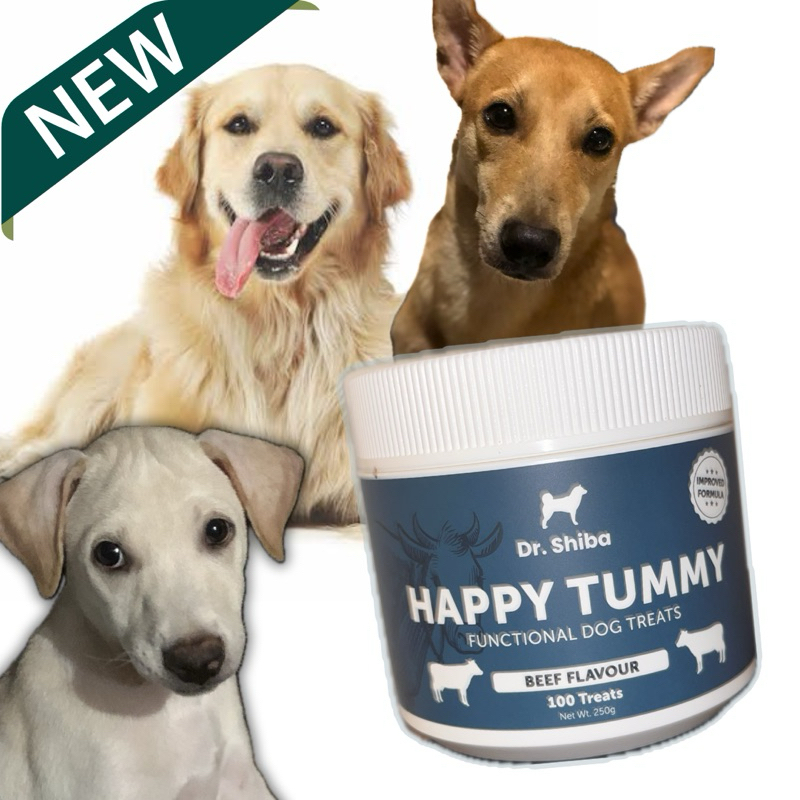 250G DR. SHIBA HAPPY TUMMY DOG TREAT BY DR. SHIBA | Shopee Philippines