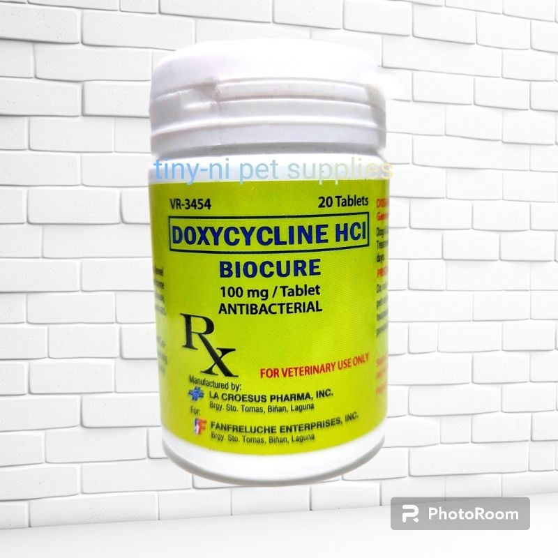 Biocure Tablet for Dog and Cat|Sold per Tablet Treatment for UTI ...