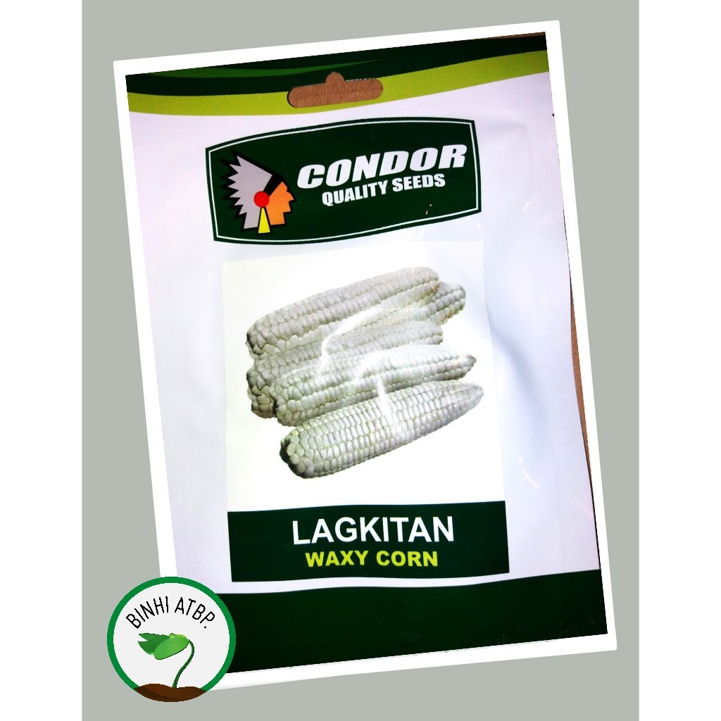 Condor White Waxy Corn Lagkitan Seeds (10 Gr Pack) | Shopee Philippines