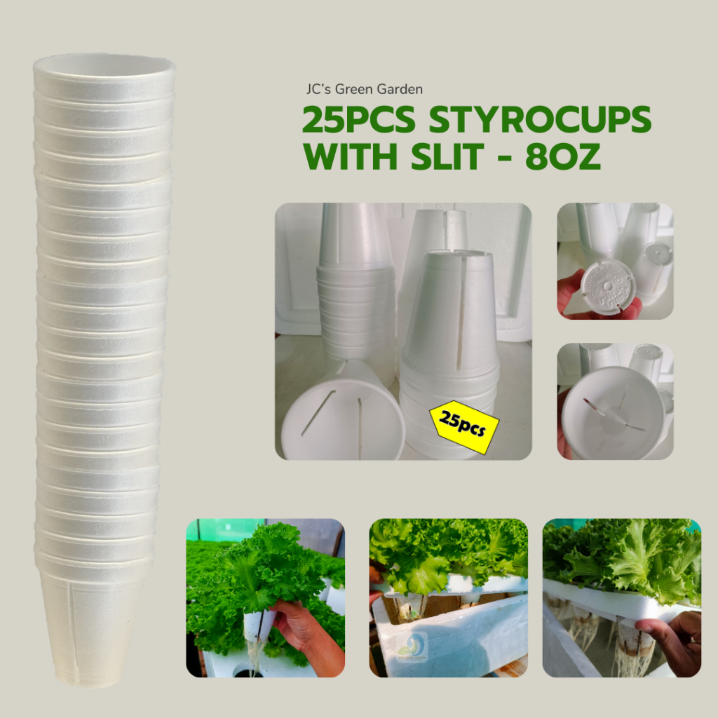 (25pcs - 100pcs) 8oz STYROCUPS (WITH NECK AND SLIT) READY TO USE FOR ...