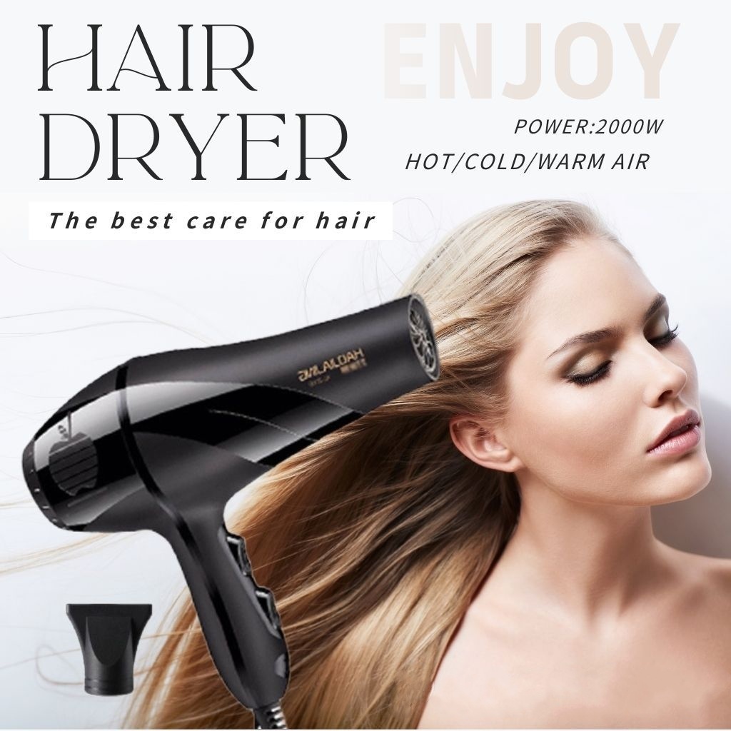 XL-2000 Professional Hair Dryer Hair Salon Blower Hair Dryer | Shopee ...