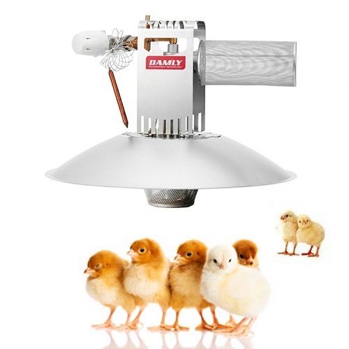 Gas Brooder/ Poultry gas brooder/Gas heater with thermostat | Shopee ...