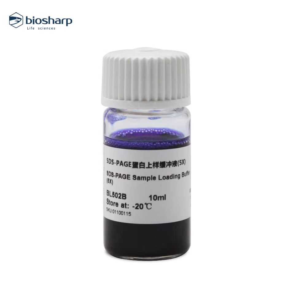 Protein loading buffer (5X) Biosharp 2 * 1ml/pack BL502A SDS-PAGE ...