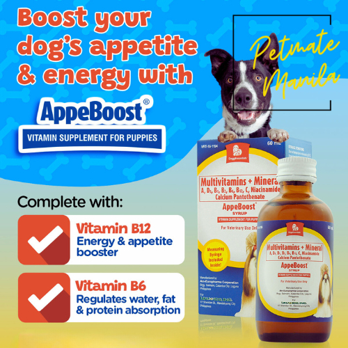APPEBOOST Vitamin Supplement for Dogs 120ml Super Pampagana | Shopee ...