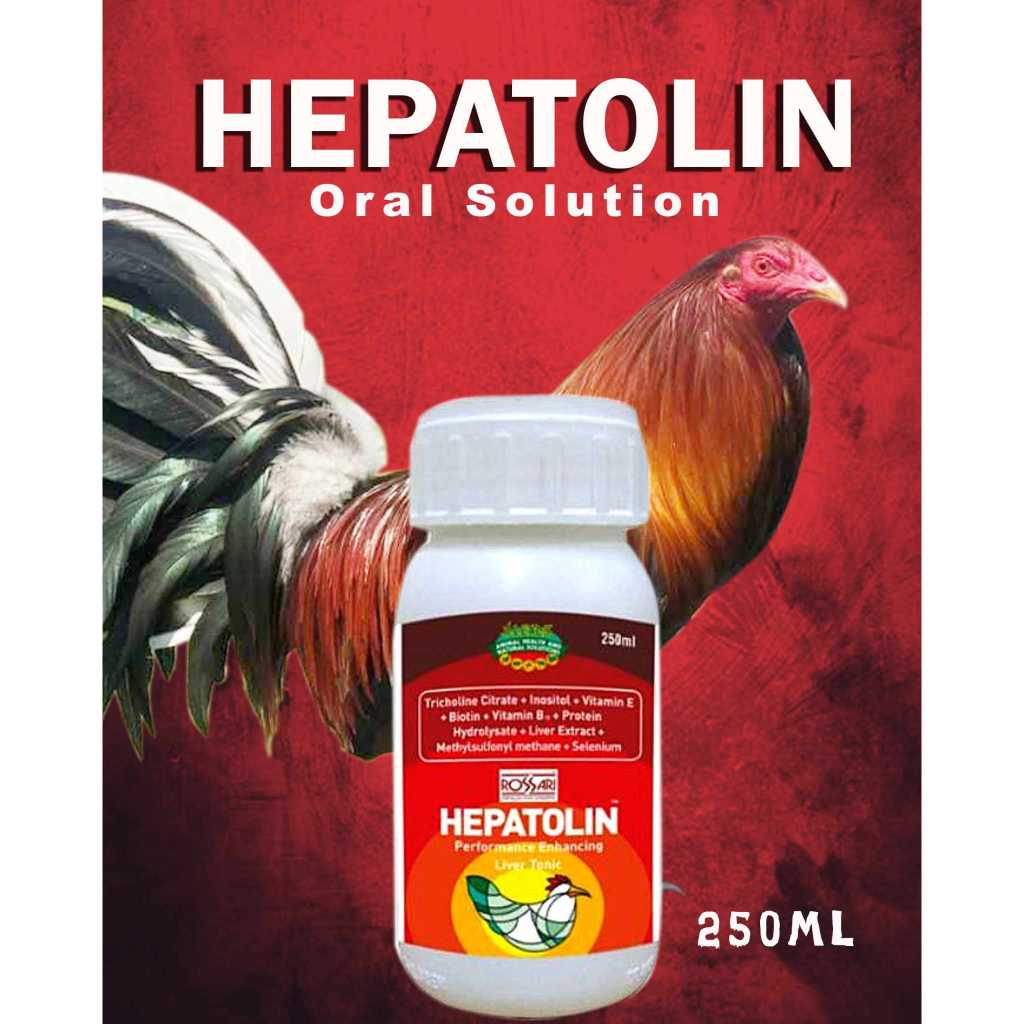 Hepatolin Liver tonic 250ml Liver protection | Shopee Philippines