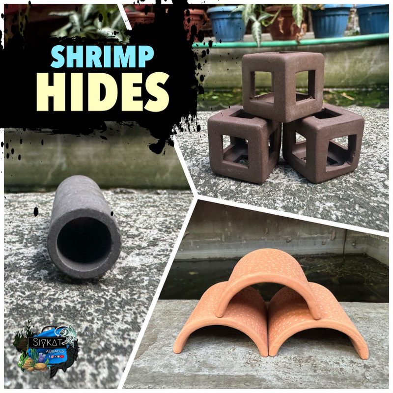 SHRIMP, FISH, CRAYFISH HIDES AND DECOR FOR AQUARIUM | Shopee Philippines