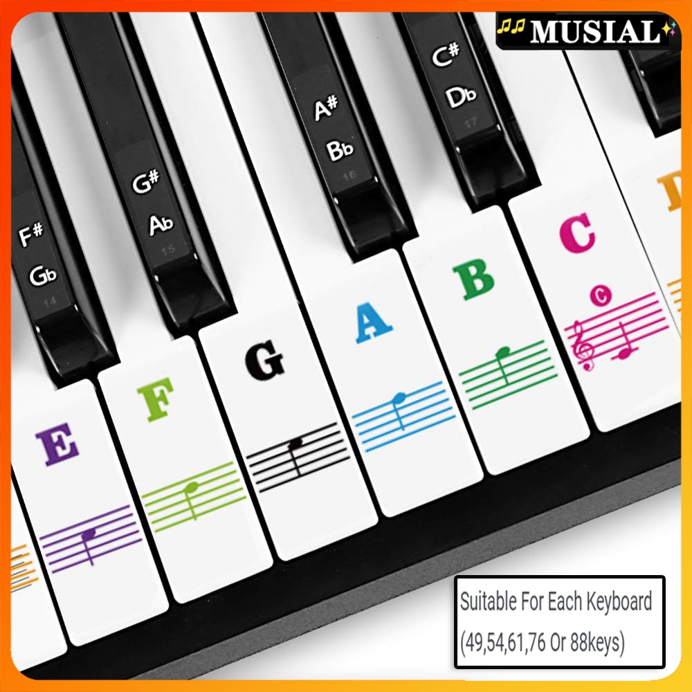 88/61/54/49 Stic Piano Stickers For Keyboard Sticker Organ Label ...
