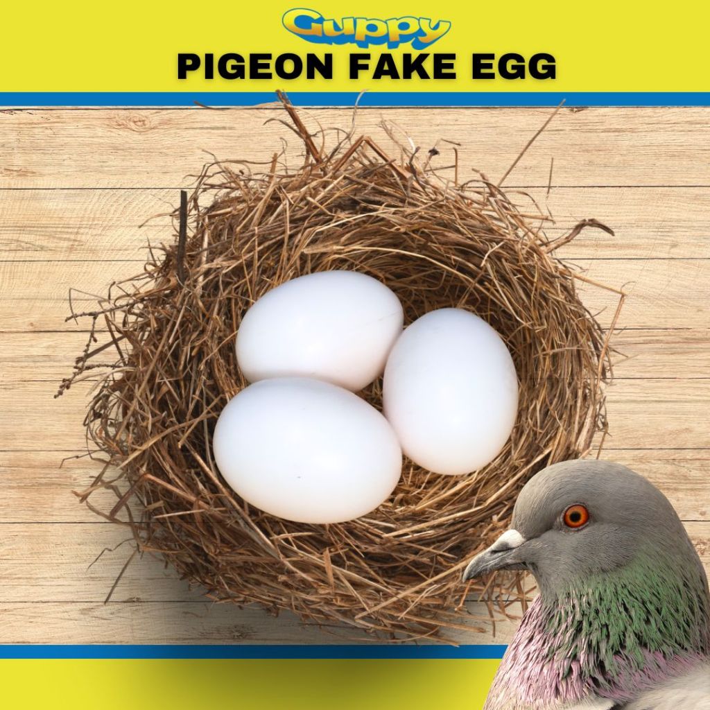 Fake Pigeon Egg False Egg Dummy Egg for Pigeon | Shopee Philippines