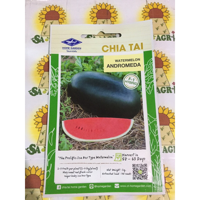 Andromeda F1 Watermelon Seeds (2g) | Shopee Philippines