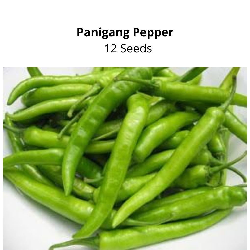 Panigang Pepper 12 seeds | Shopee Philippines