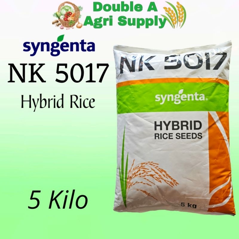 NK 5017 Hybrid Rice Seeds - Syngenta | Shopee Philippines