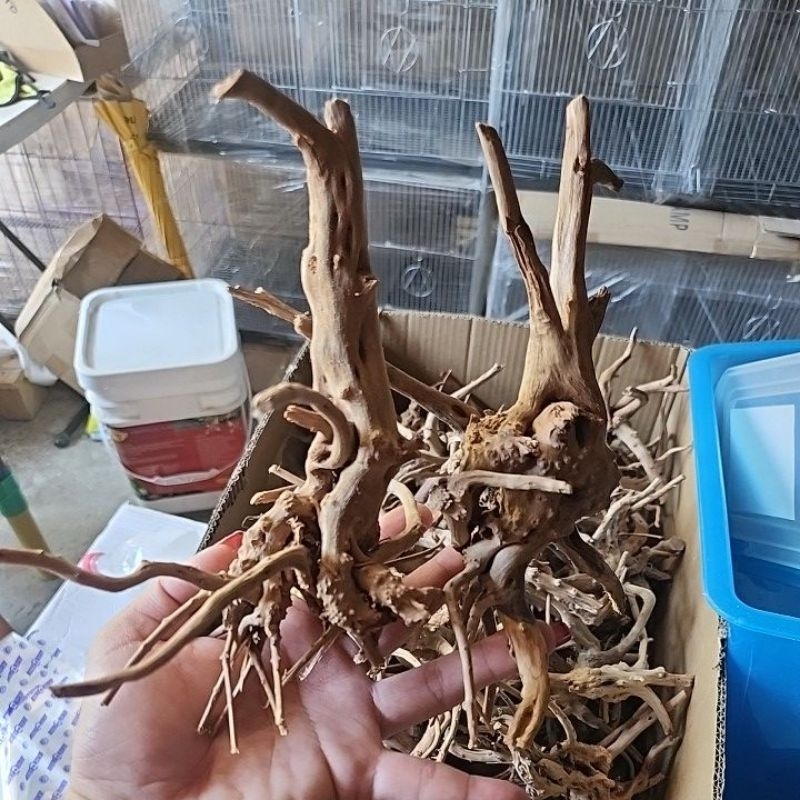 AQUARIUM DECOR TWEETY WOOD | Shopee Philippines