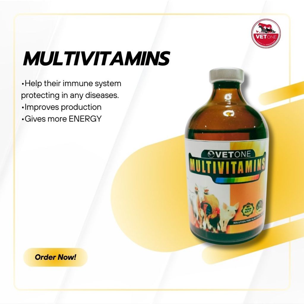 Multivitamins injectables 100ml for animal use only | Shopee Philippines