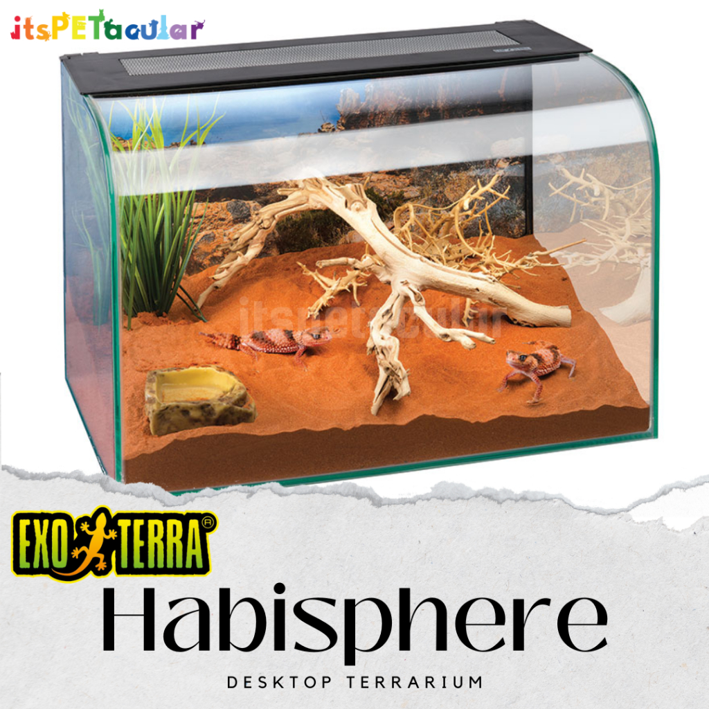 Exo Terra Habisphere Desktop Terrarium 18"X12X"12" | Shopee Philippines