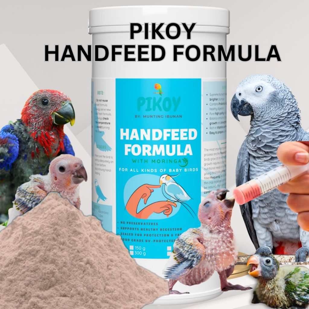 PIKOY Handfeed Formula Hand Feeding For All Kinds of Baby Birds WITH ...