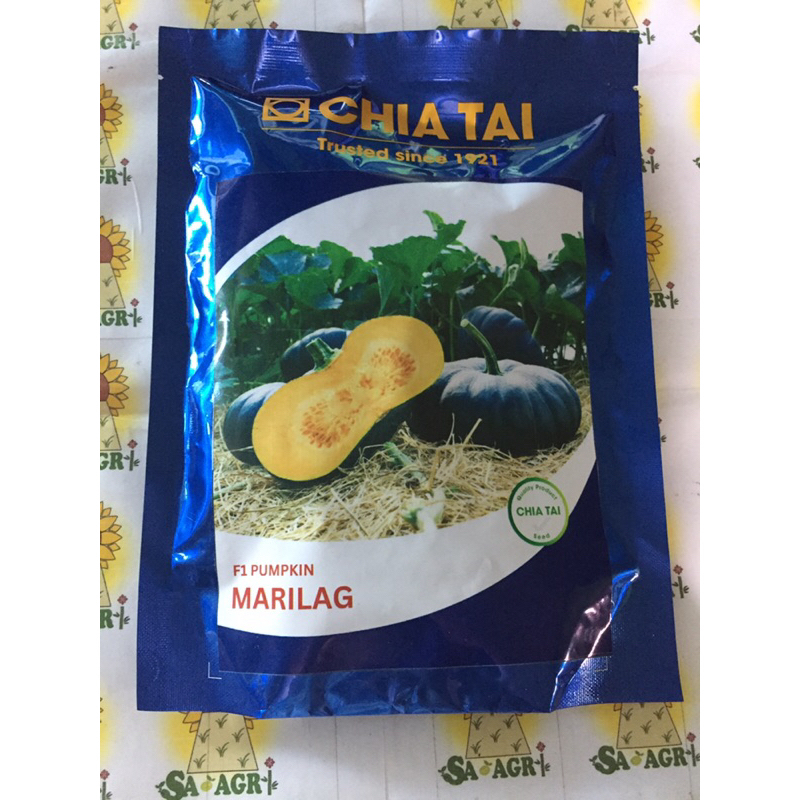 marilag(matikas) F1 Hybrid Kalabasa Seeds (250g) | Shopee Philippines