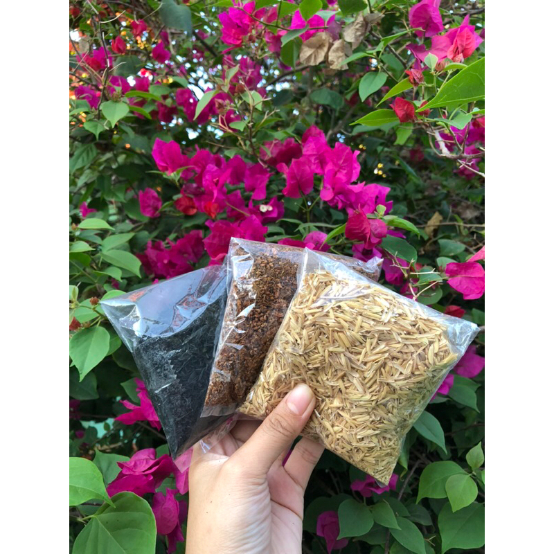 100 GRAMS Cocopeat, Rice Hull/Ipa and Carbonated Rice Hull Best for ...