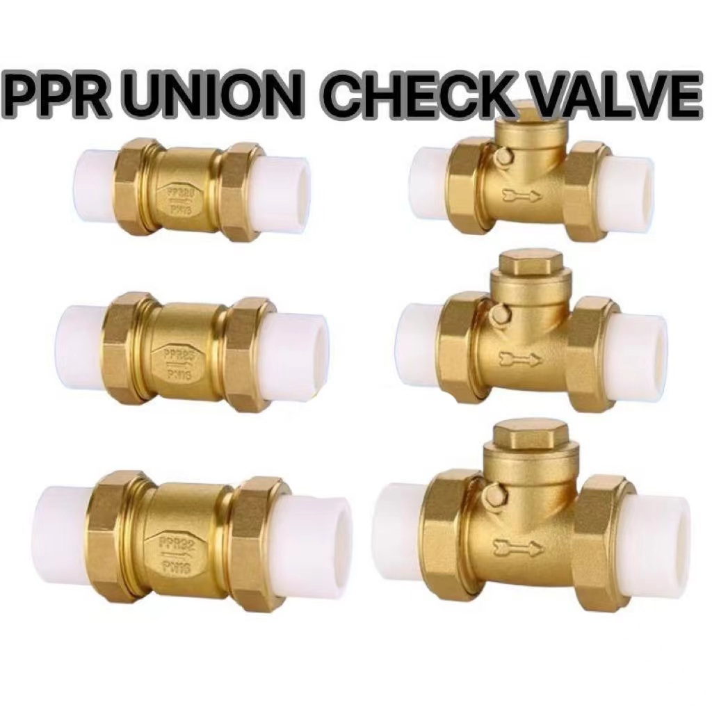 PPR Brass Union Swing valve ,check valve Spring Vertical Pump Valves ...