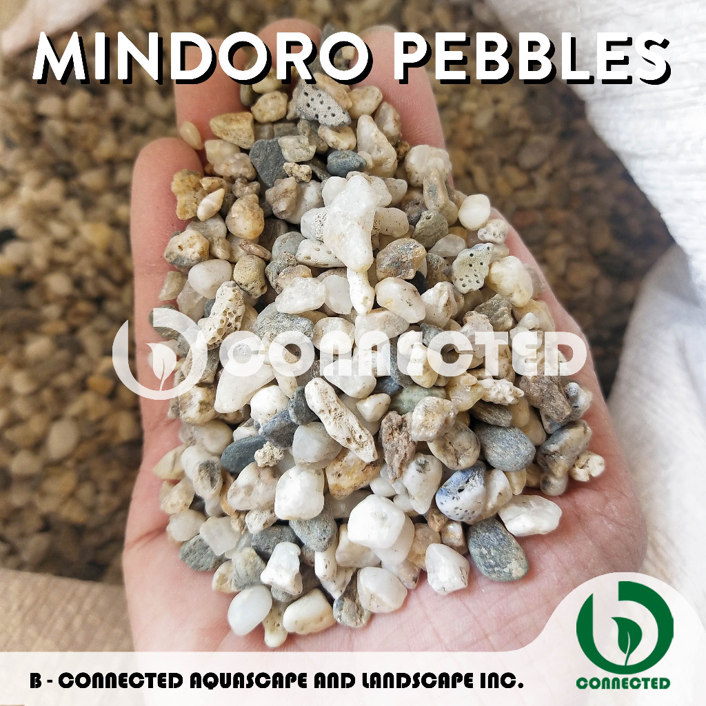 MINDORO PEBBLES STONE ROCK BY BCONNECTED - AQUARIUM ACCESSORIES / SOIL ...