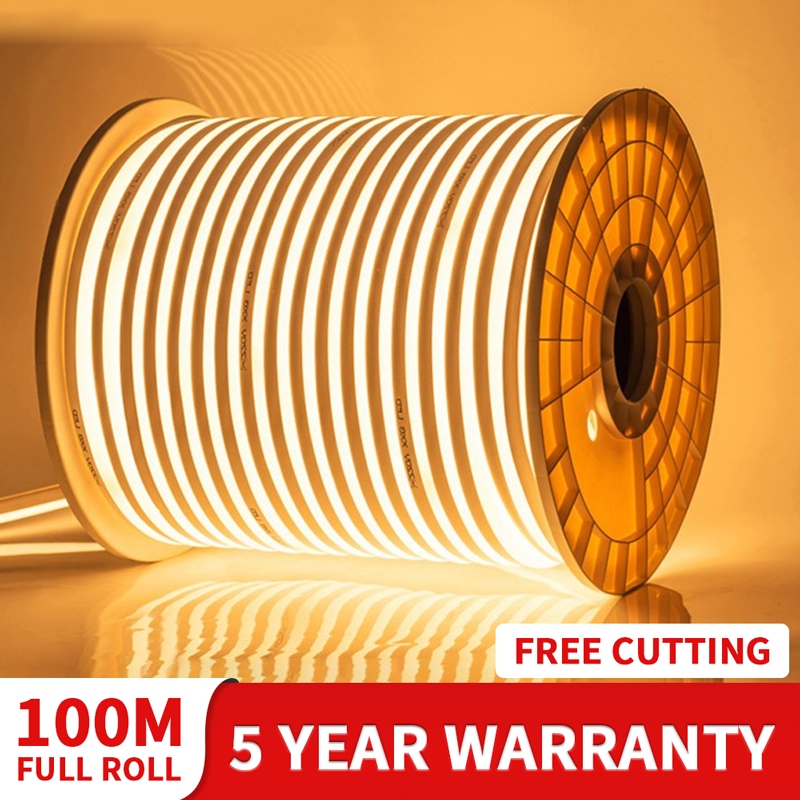 50/100M Warm/White LedStrip Lights Indoor Outdoor Led Lights For Room ...