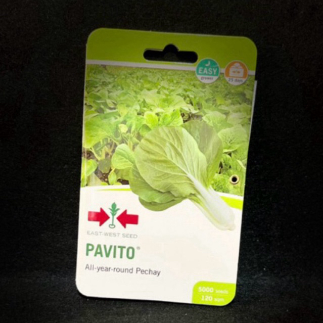 PECHAY SEEDS | (PAVITO) | Shopee Philippines