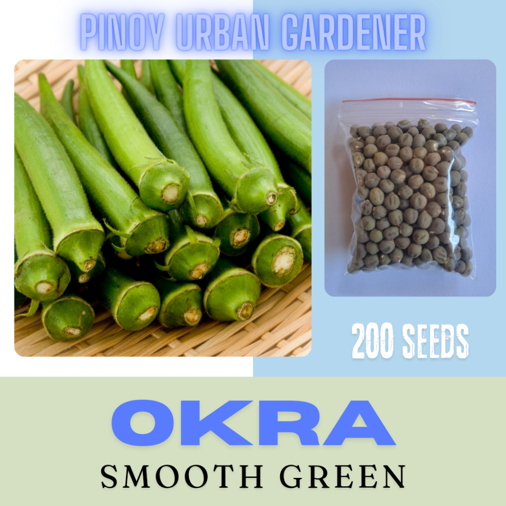 Vegetable Seeds Pechay Kamatis Sili Talong Ampalaya kangkong Okra Sitaw ...