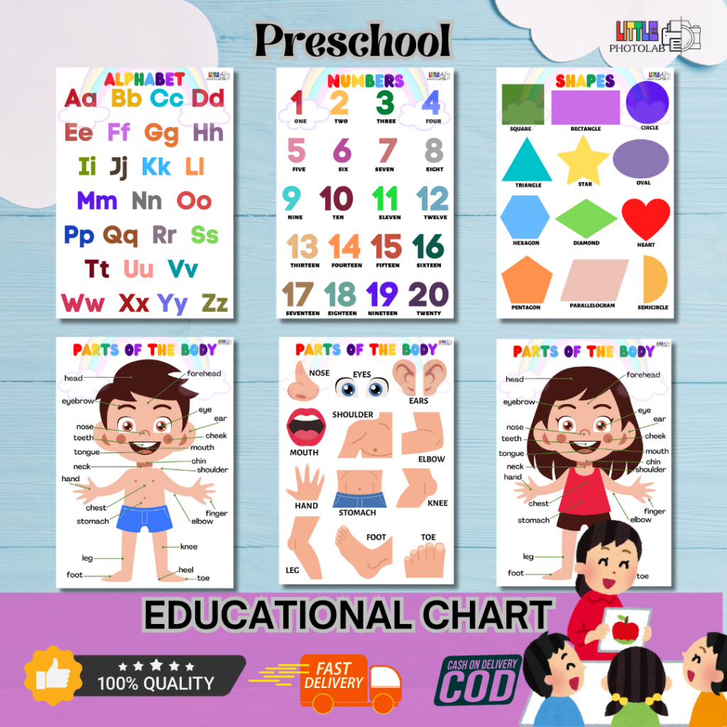 PRESCHOOL Learning Materials Educational Chart Parts of the Body Animals Vegestables Fruits ...
