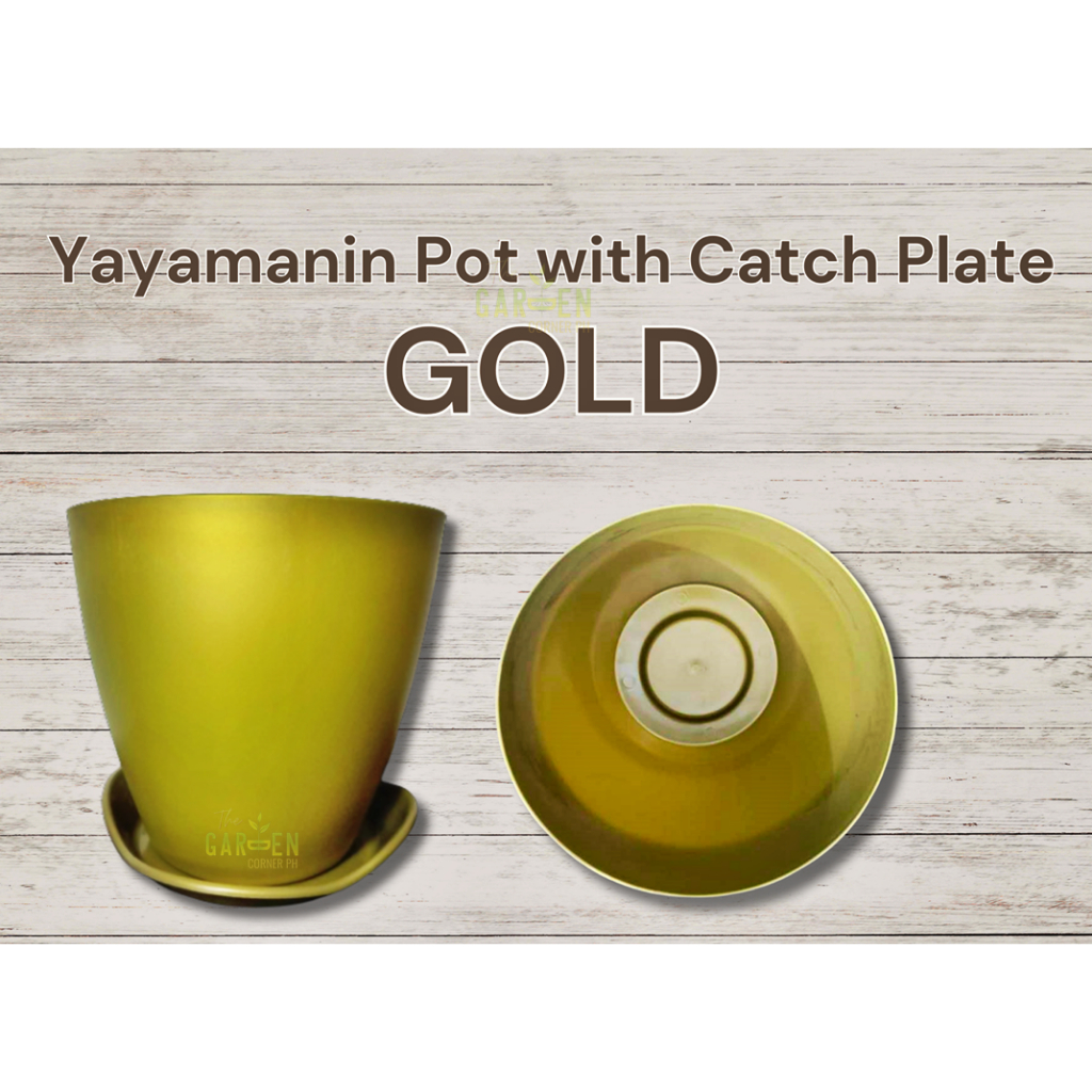 Rubberized Pot/Pearl Wave Pot with Catch Plate (GOLD - 6 SIZES) Best ...