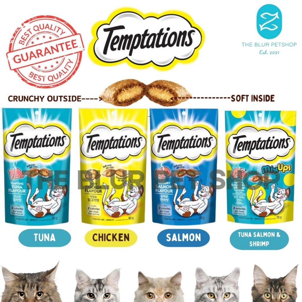 75g Temptations All Stages Adult Kitten Cat Treat Cats Food | Shopee ...