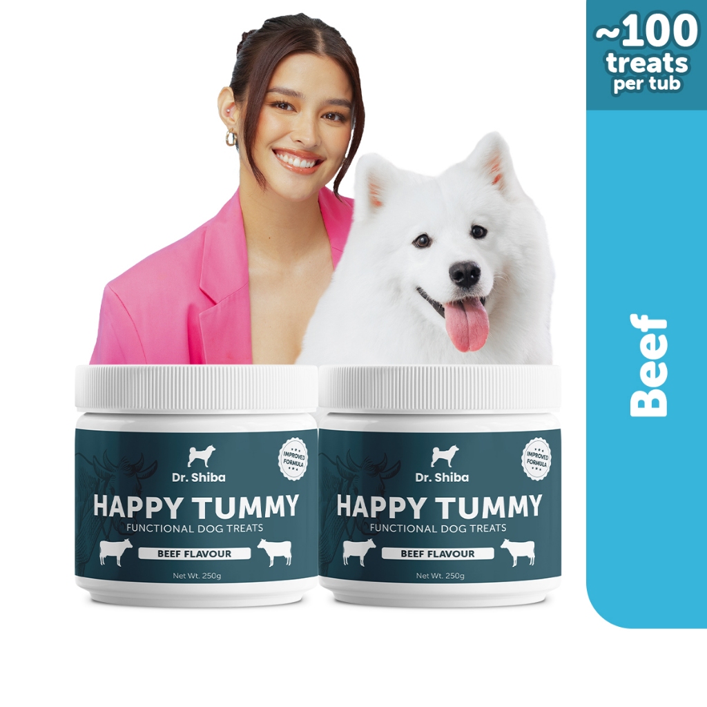 Dr Shiba Happy Tummy 2 X Healthy Dog Treats Snacks, Dog Multivitamins ...