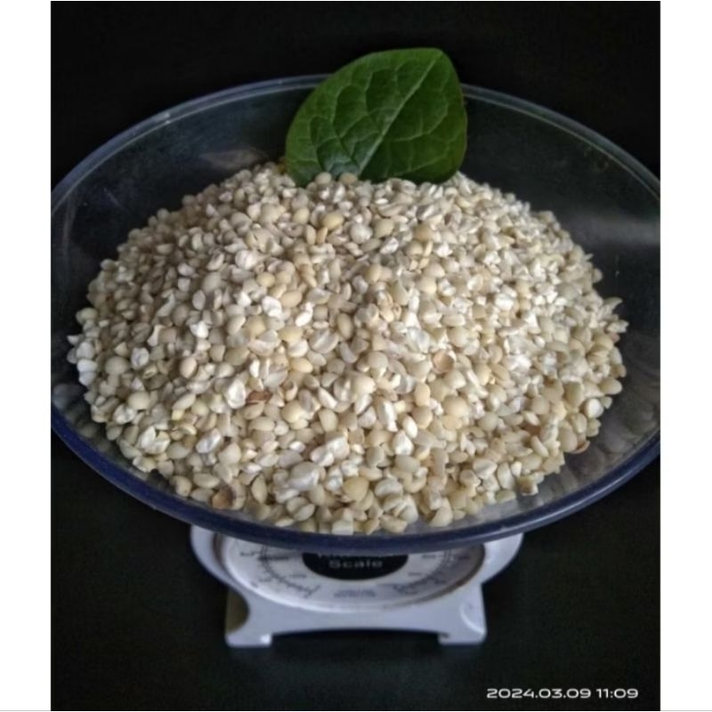 Adlai Rice Milled Grains in 1 Kilo from Infanta Quezon | Shopee Philippines